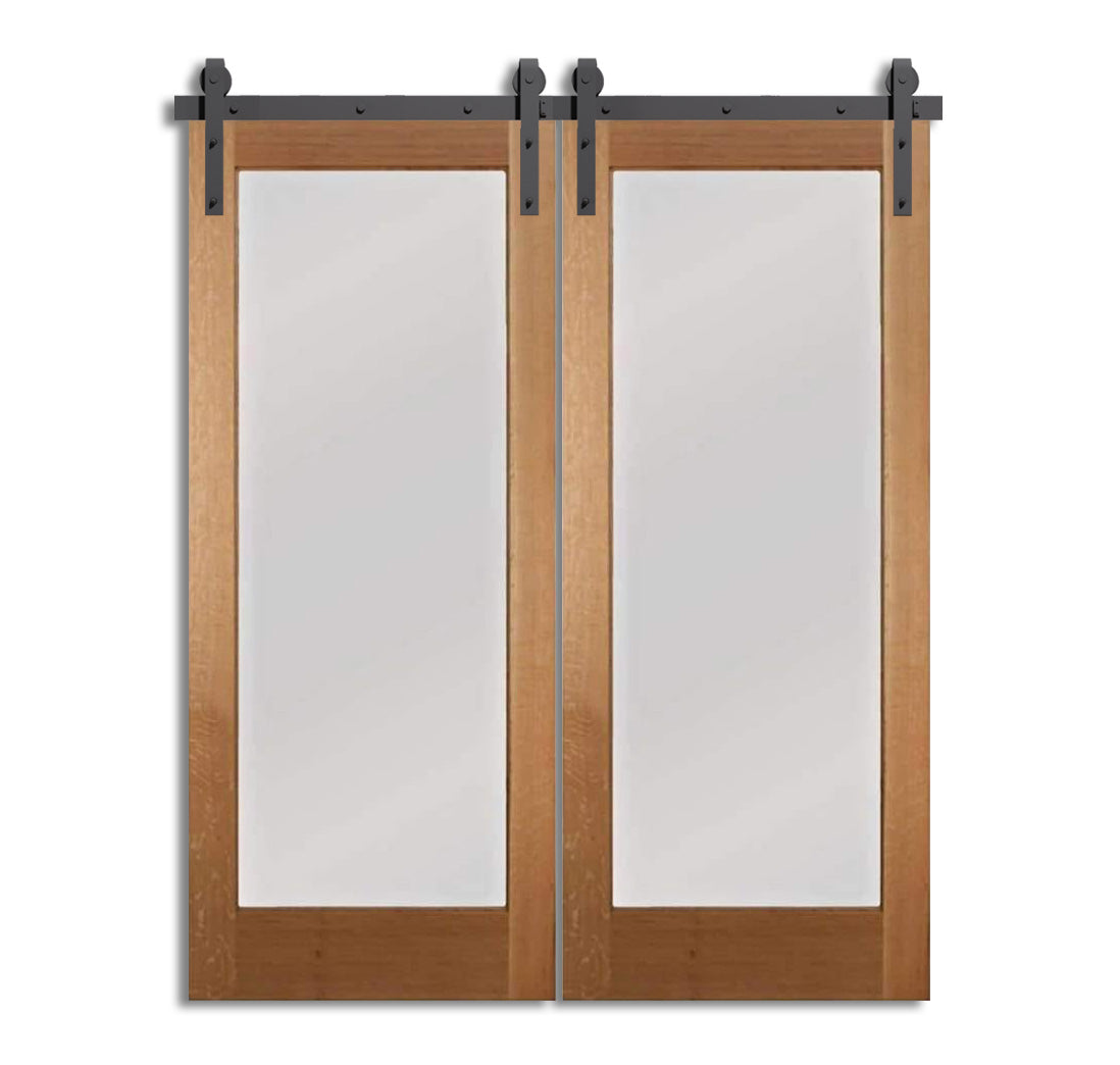 Pema - Custom Mirror Glass Panels Interior Double Barn Door